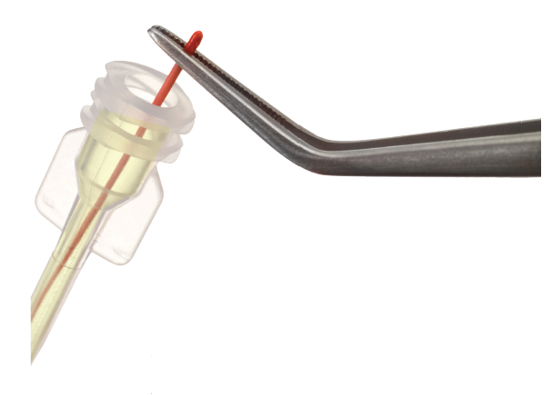 EndoRez Accelerator | Ultradent Products, Inc.